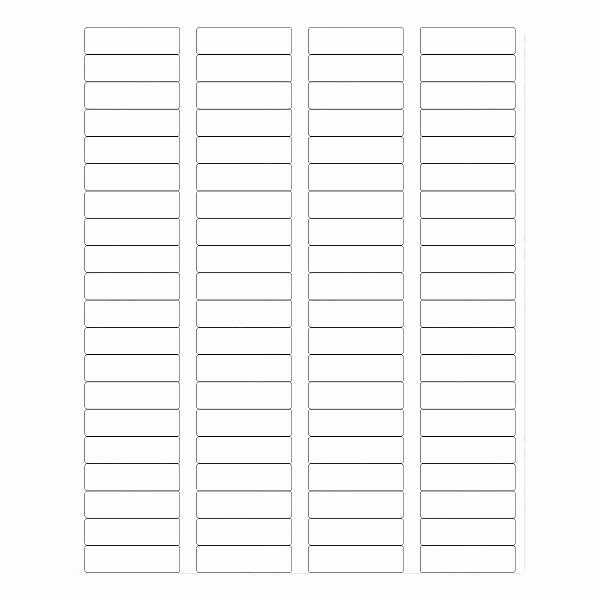 Avery 8167 Template For Google Docs