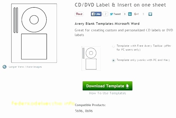 50 Avery Template 8163 For Word Ufreeonline Template