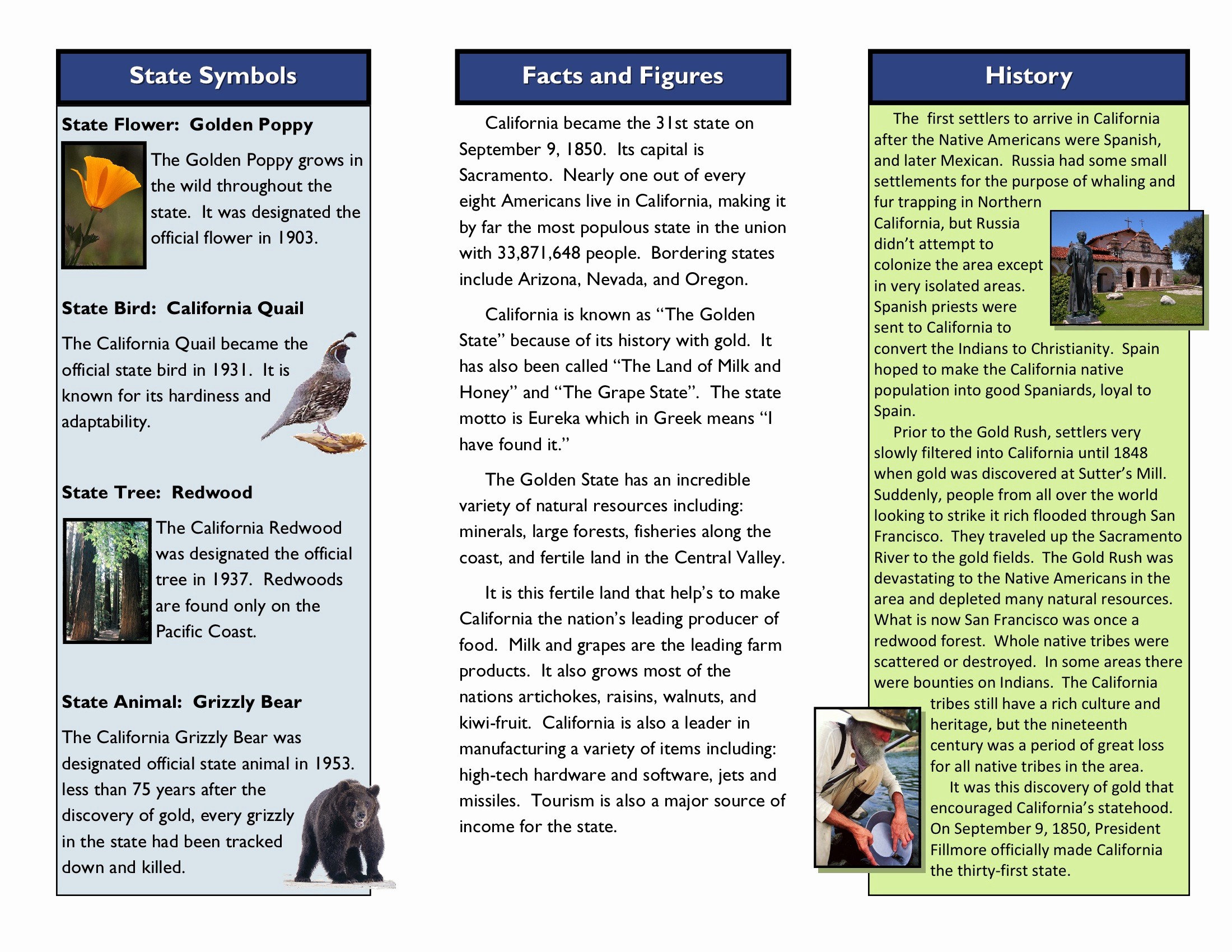 Travel Brochure Template For Students