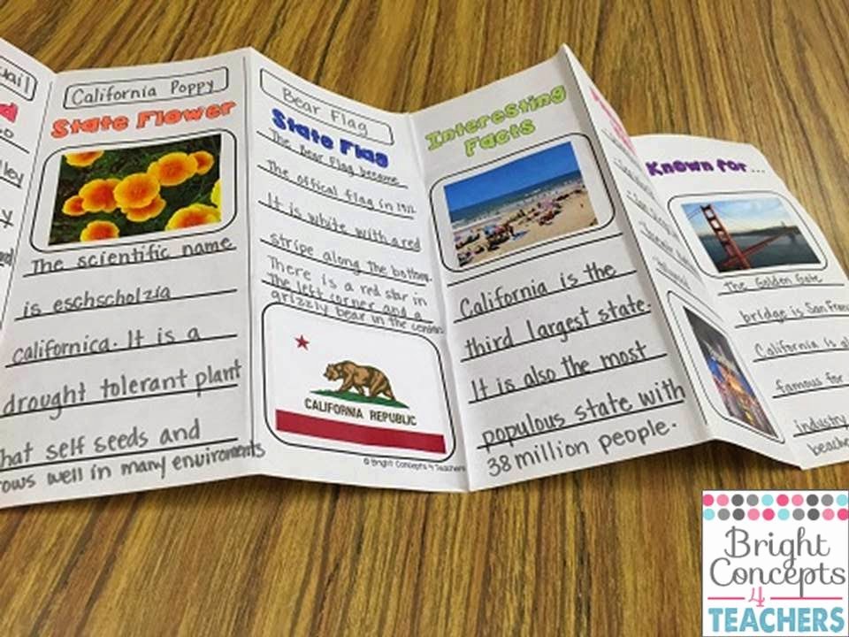 50 Sample Travel Brochure For Students