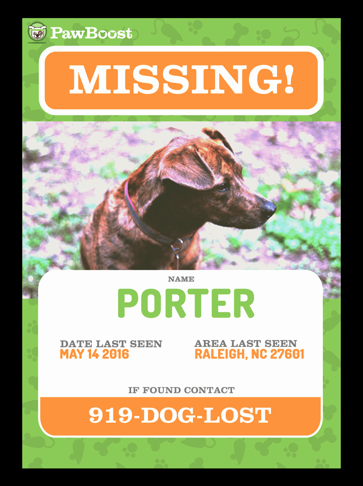 50 Missing Dog Flyer Template Ufreeonline Template